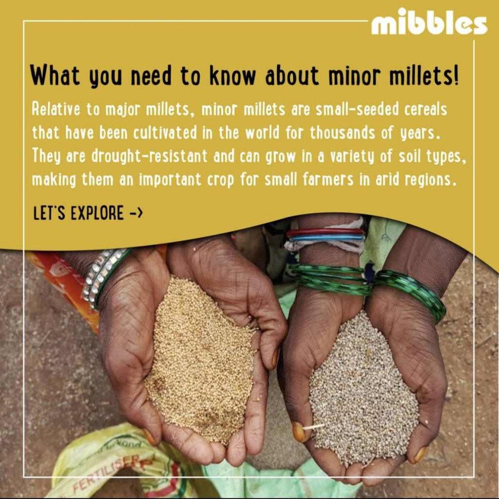 What you need to know about minor millets! – Natural Mango
